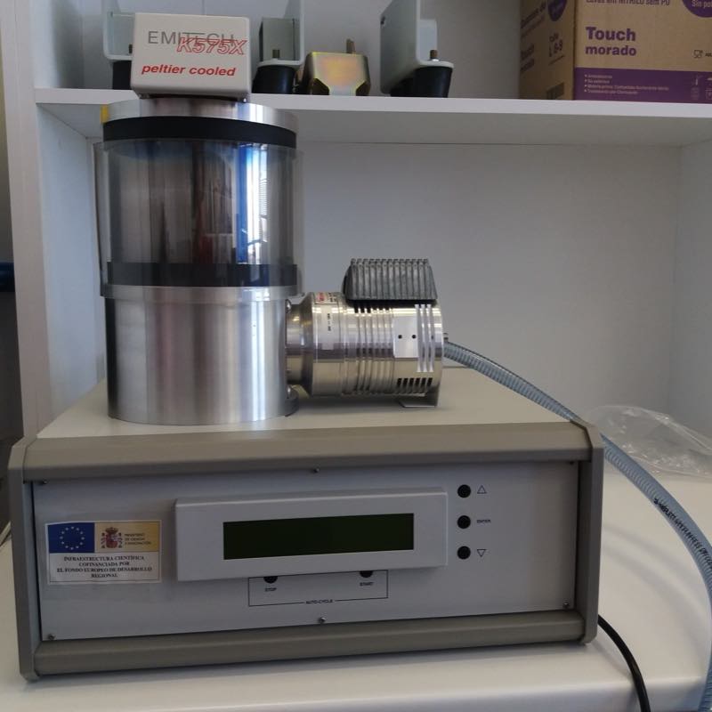 Microscopía Electrónica de Barrido